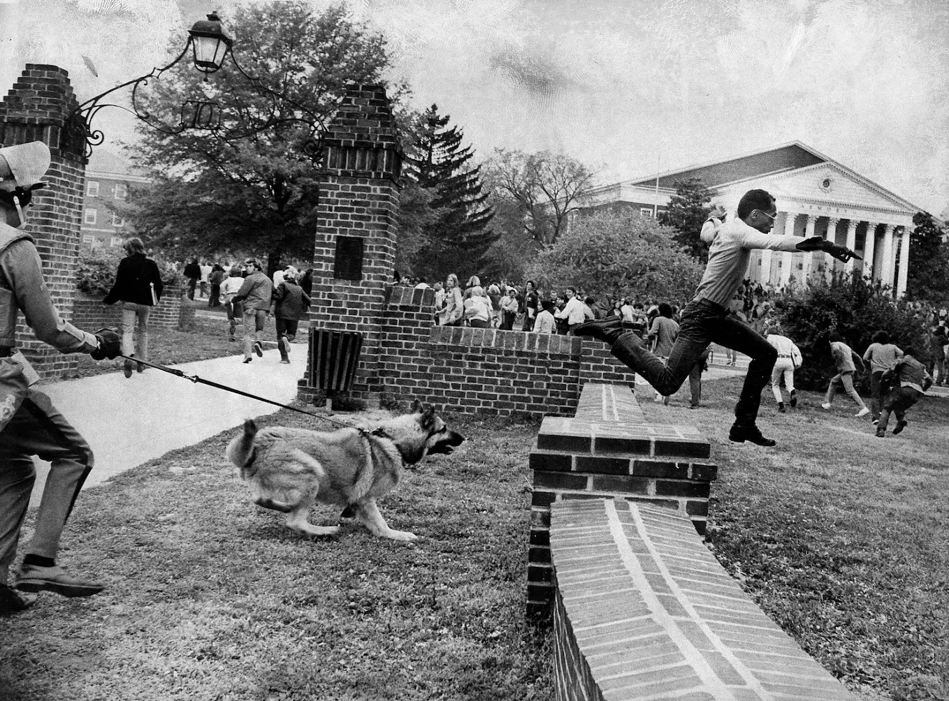 The 1950s And The Myth Of The “Traditional” Family | by Alyce Raybould ...