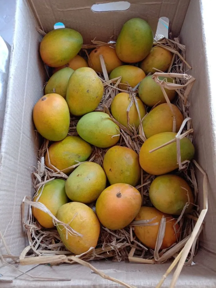 Which college football programs were most-watched in 2023? | Run It Back With Zach