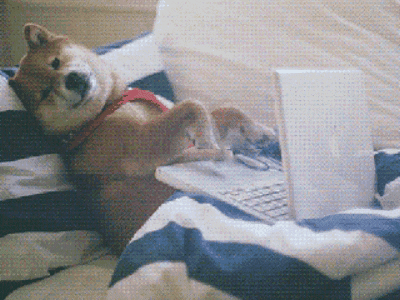 7 Steps You should follow while Developing a Database | by AnalystHub | Lucid Plexus | Medium