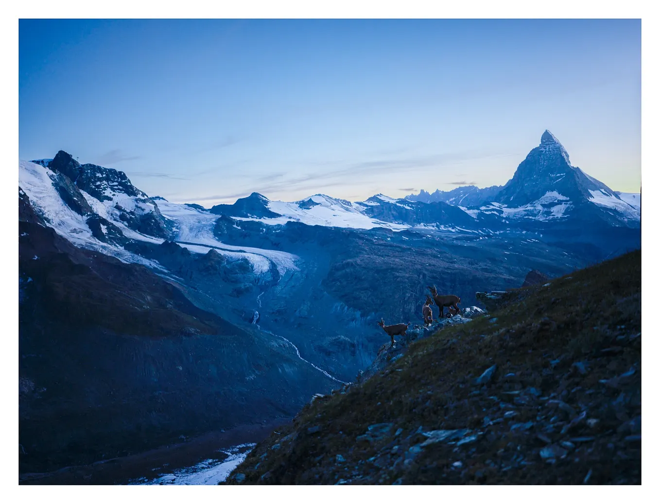 Best Camera for Long Distance Photography | by Sharon Advik | Medium