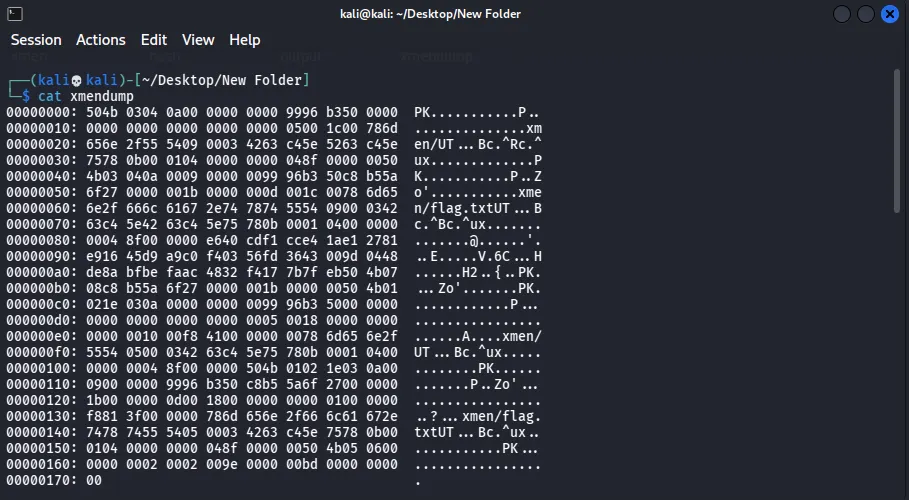 CTF Challenge Writeup: PicoCTF — shark2.pcapng | by Andrej Topalov | Medium