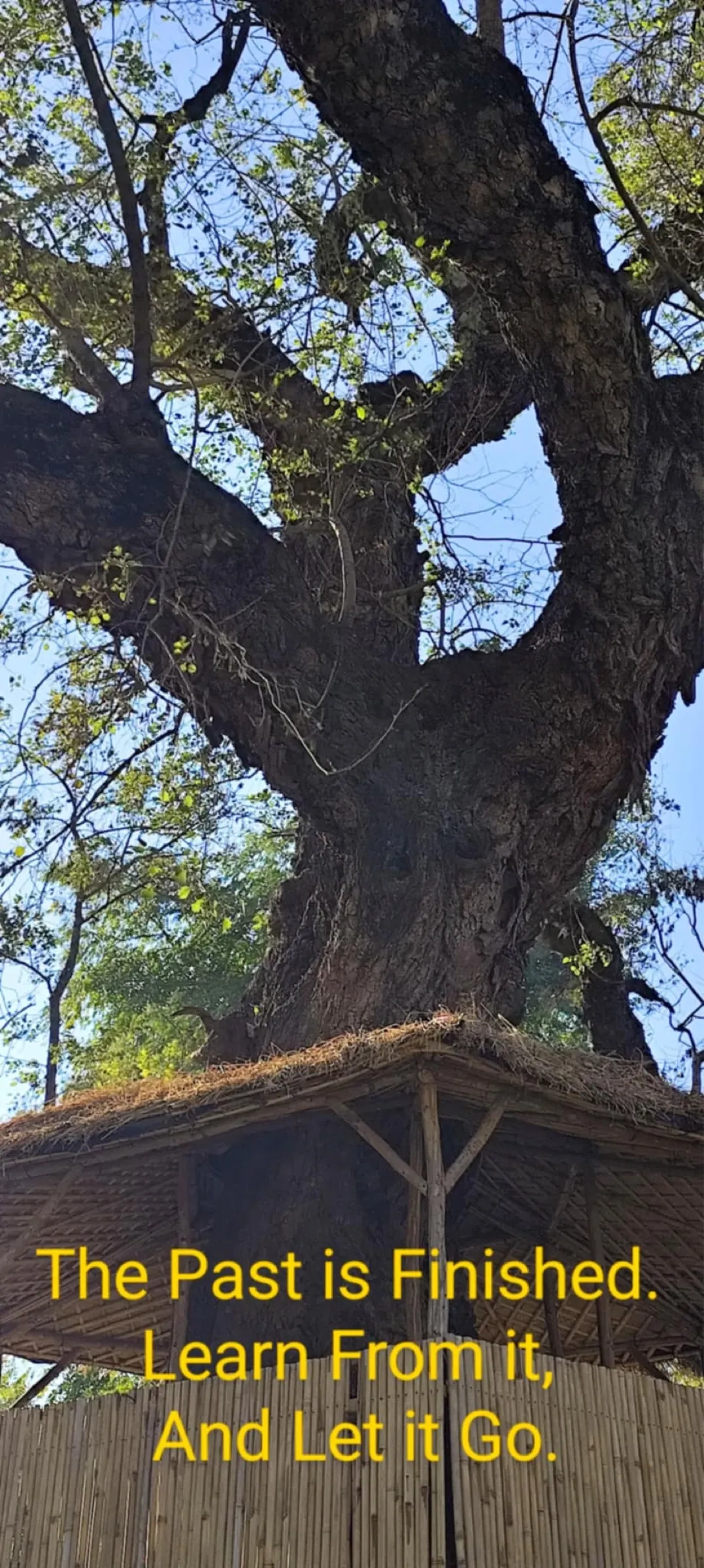 Thank you so much Rosina for reading and appreciating my response. I am ...