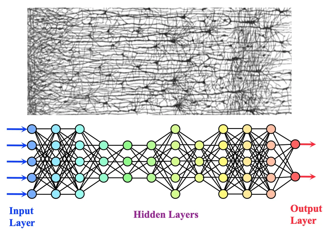 Model-Based vs. Instance-Based Learning: Understanding Two Key Paradigms in Machine Learning🌟 ...
