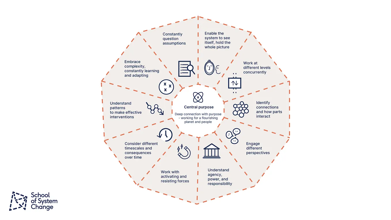 What is systems change? An outcome and process | by Anna Birney ...