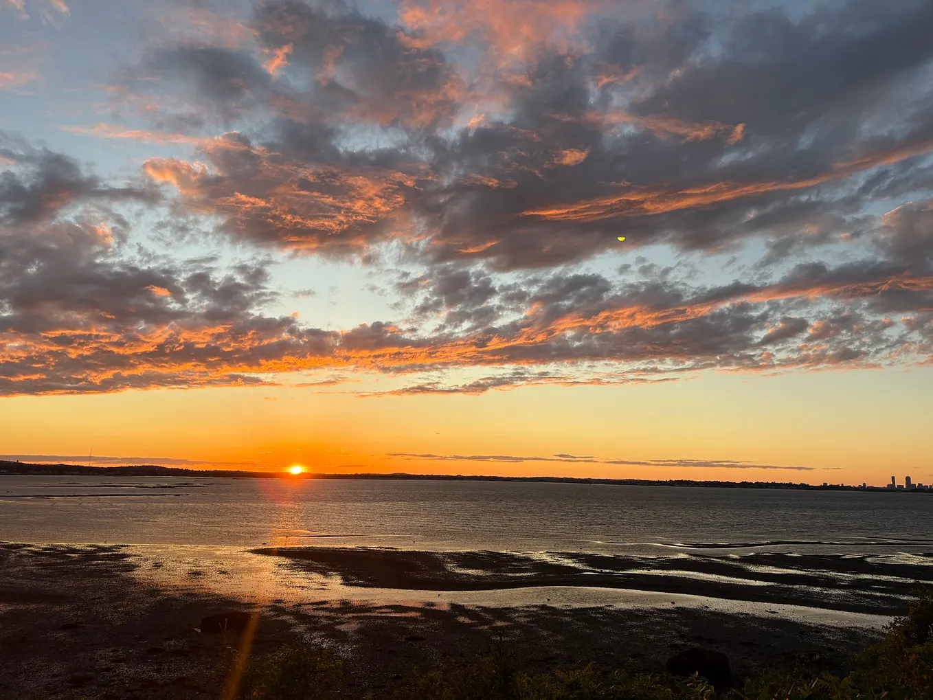 Quietly powerful piece—captures that heartbreaking moment when acceptance finally replaces hope ...