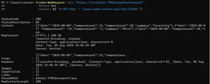 Secure Swagger UI with Basic Authentication in ASP.NET Core | by Dipendra Neupane | codenp