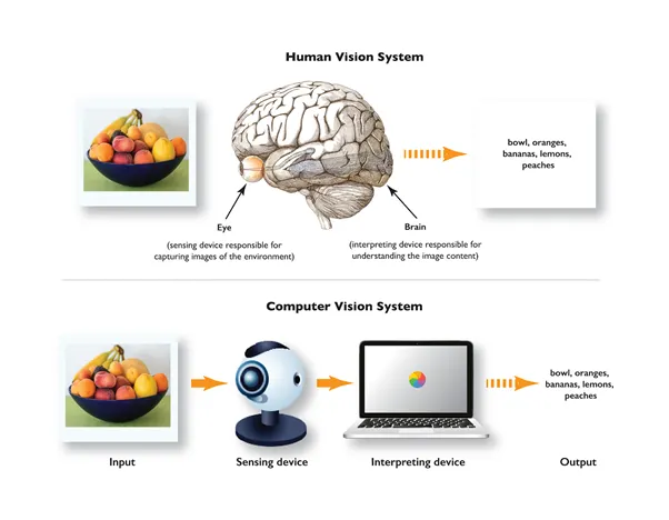 From LeNet5 to ResNet50: An Exploration of the Evolution of Computer ...