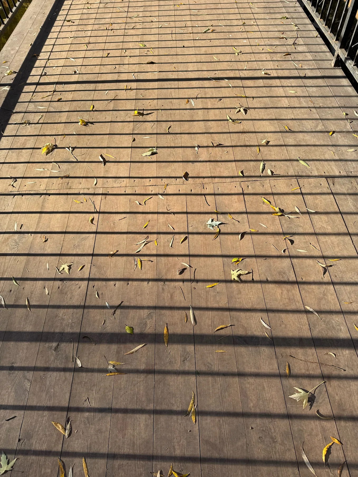 React vs Angular vs Vue Performance in 2025 | by React Masters | Medium