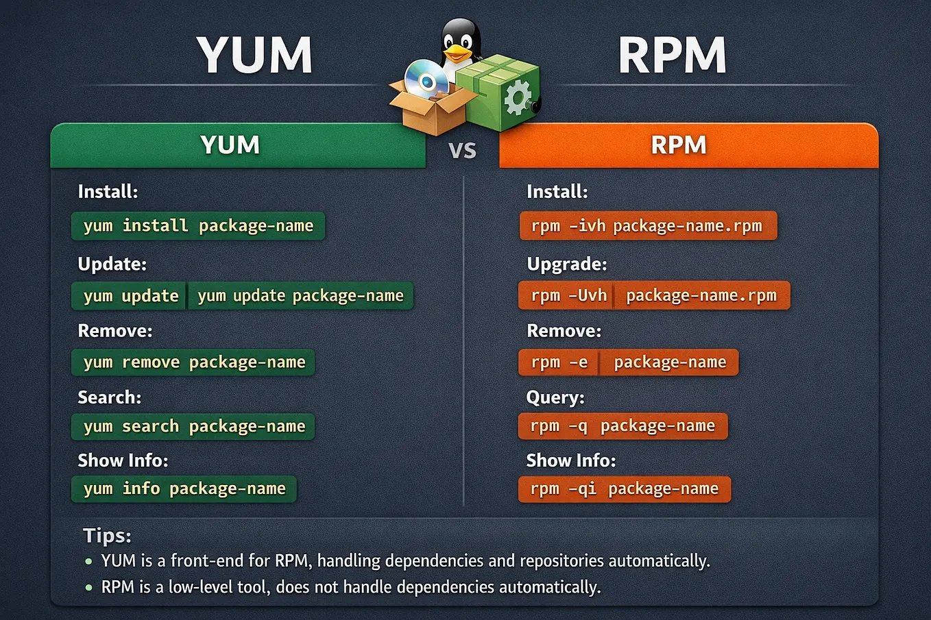 Network Configuration in Linux Explained for Beginners (NIC Basics ...