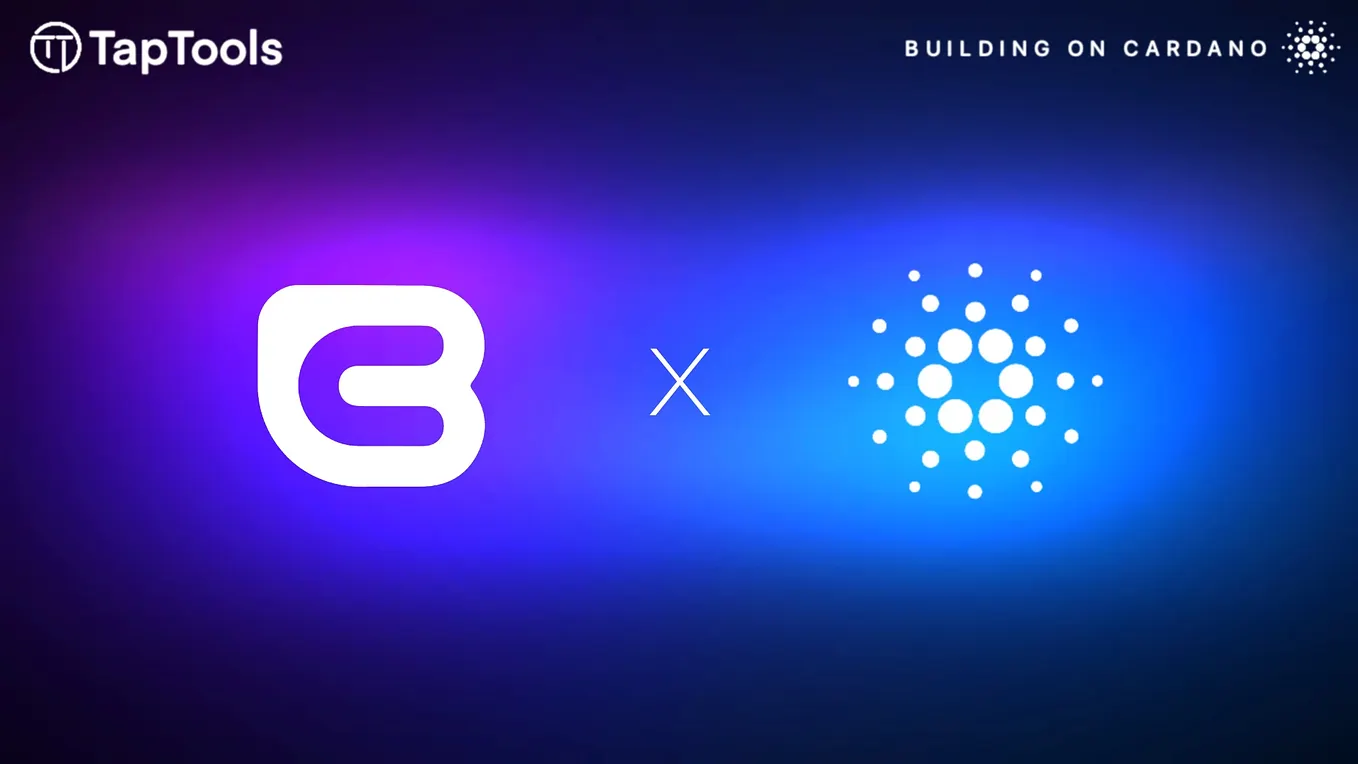Wanchain Connects Cardano & Polkadot Ecosystems | by Tap In With TapTools | Tap In With TapTools ...