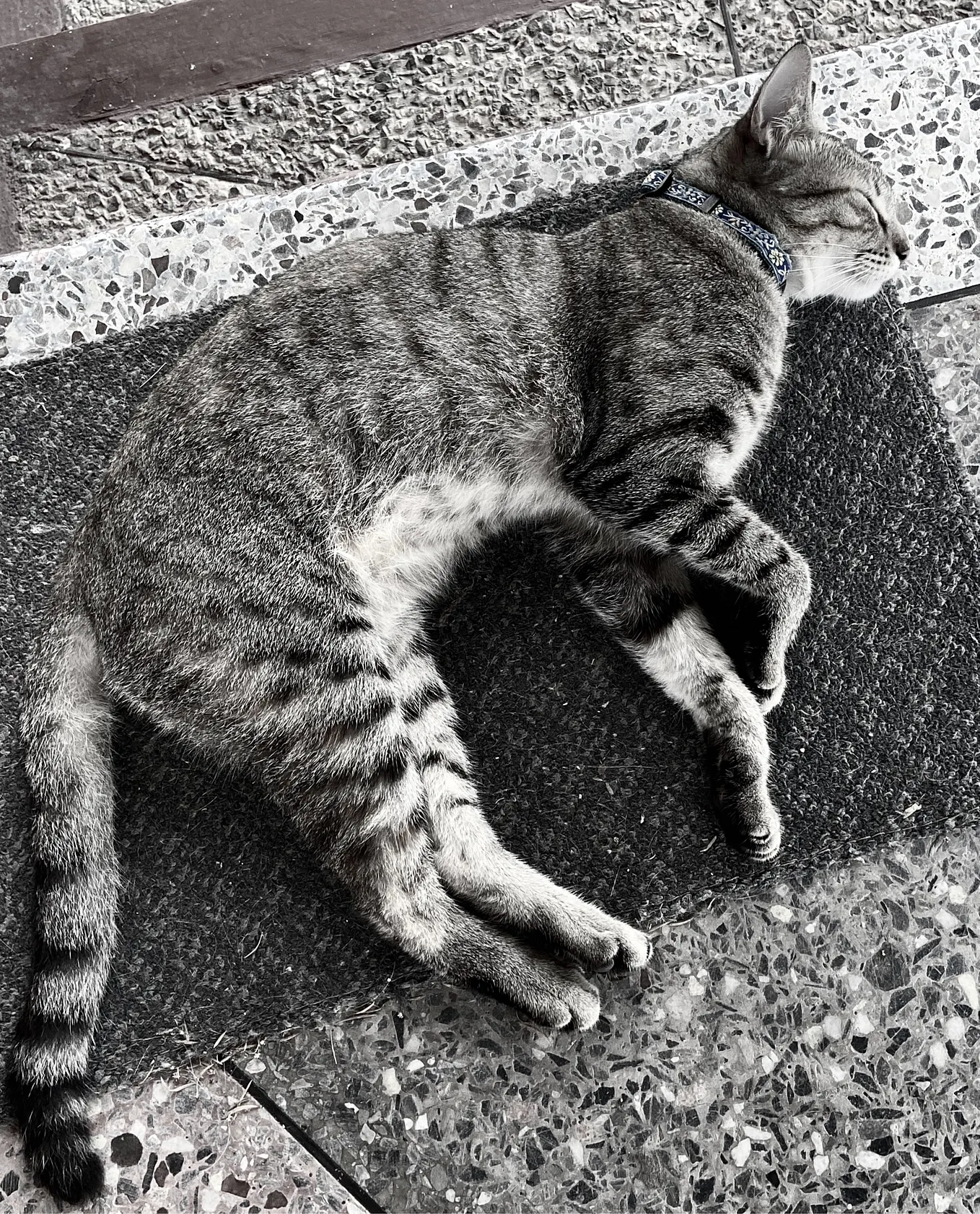 How to Report Suspected Fraudulent Activity to Medium | by JoAnn Ryan | Kaleidosphere | Medium