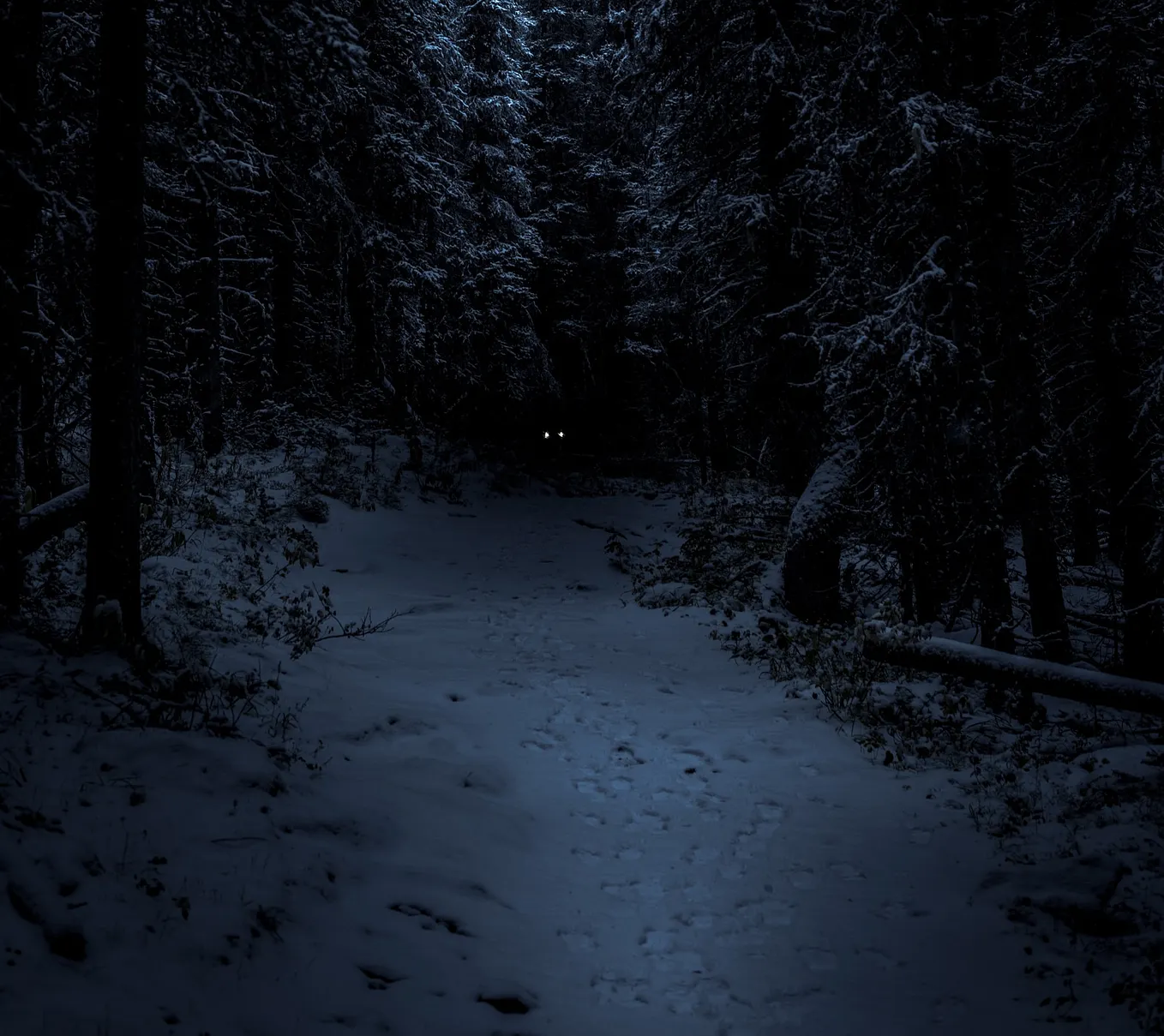 How To Build A Bayesian Ridge Regression Model With Full Hyperparameter Integration By Ryan