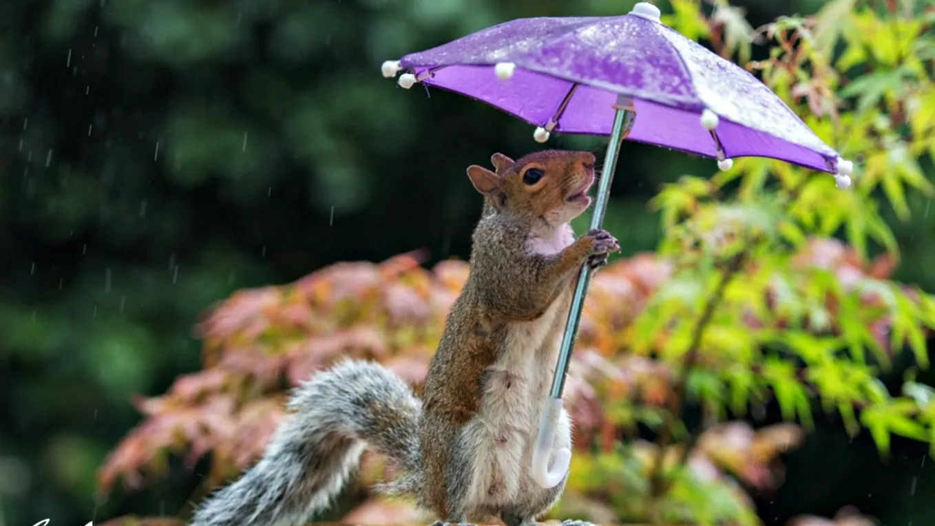 Software architecture with the “IDesign method” | by Tal Joffe | Medium