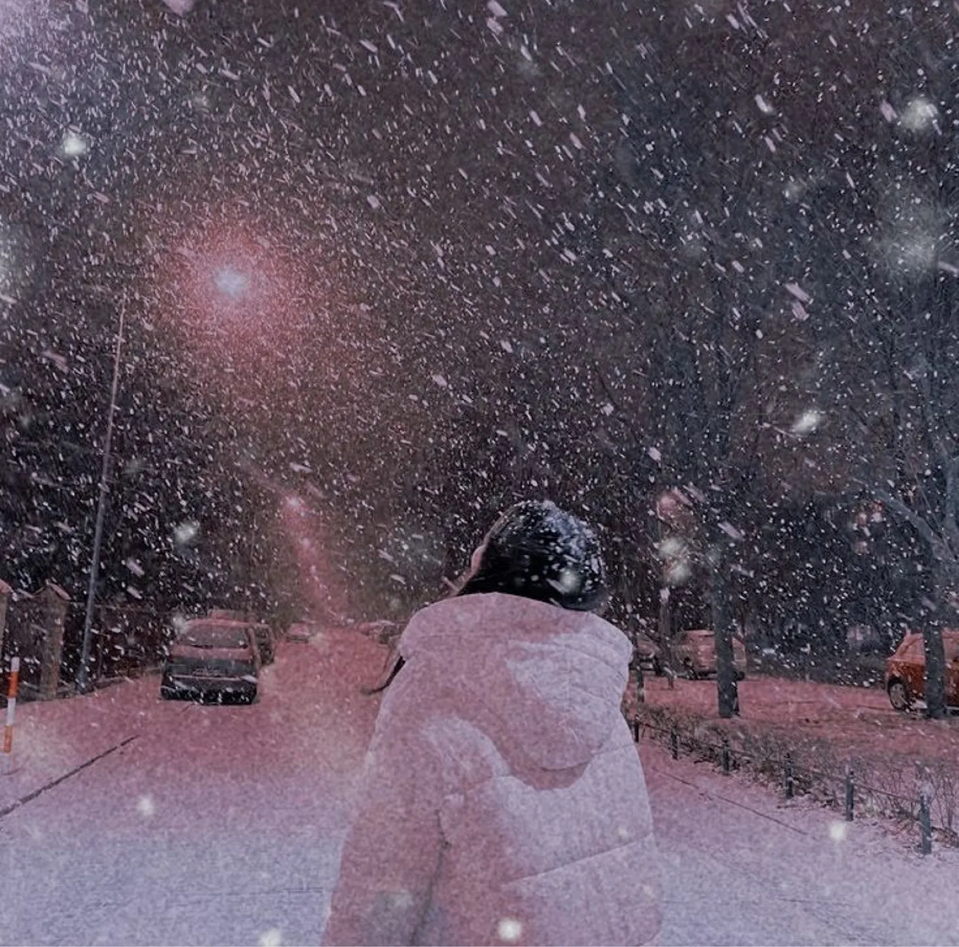 Look Lady! I’m Not You.. On Rhythm, Ruin, and Refusal. | by Ishita ...