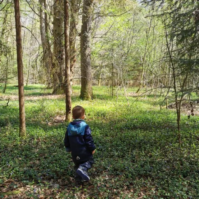 Mastering Monorepos: A (more or less) Practical Guide with npm, Lerna, and More | by Eme | Medium