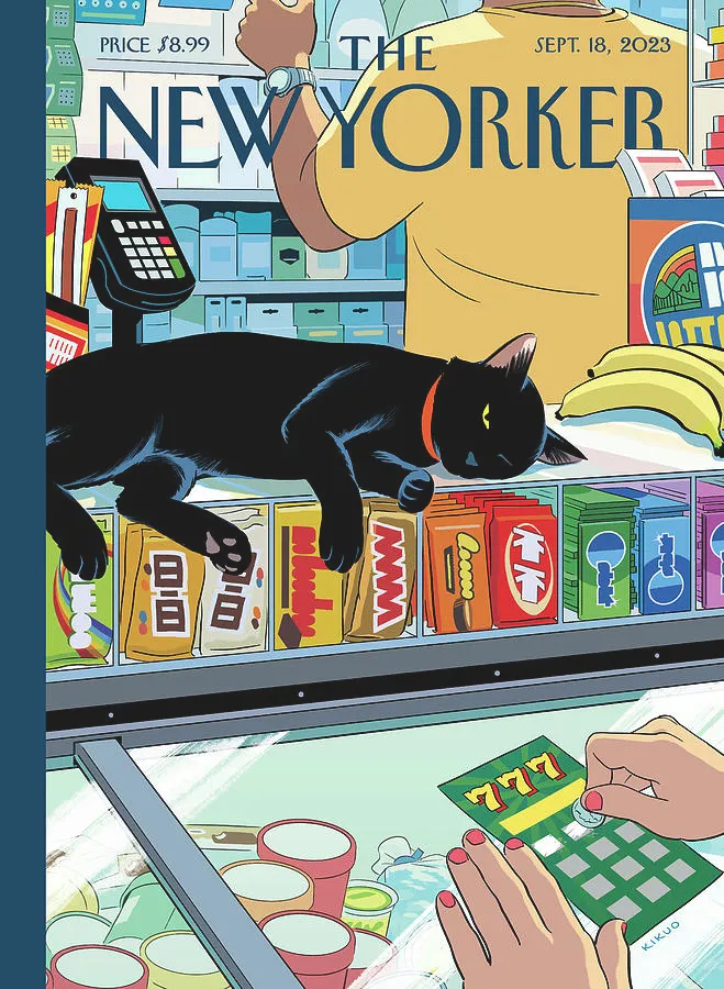 How Bodega Cats Became What They Are (With photos) | by Bodega Cats Of ...