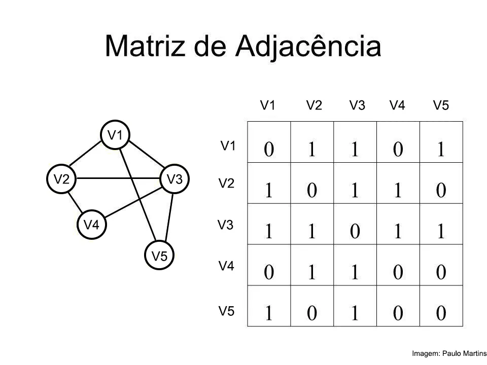 Grafos — código das operações básicas em C. | by Paulo Martins | Medium