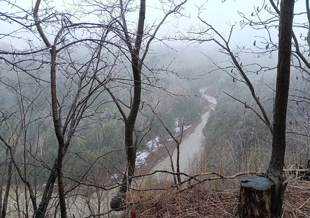 Snowflake external OAuth using Azure Entra | by Feng Li | Medium