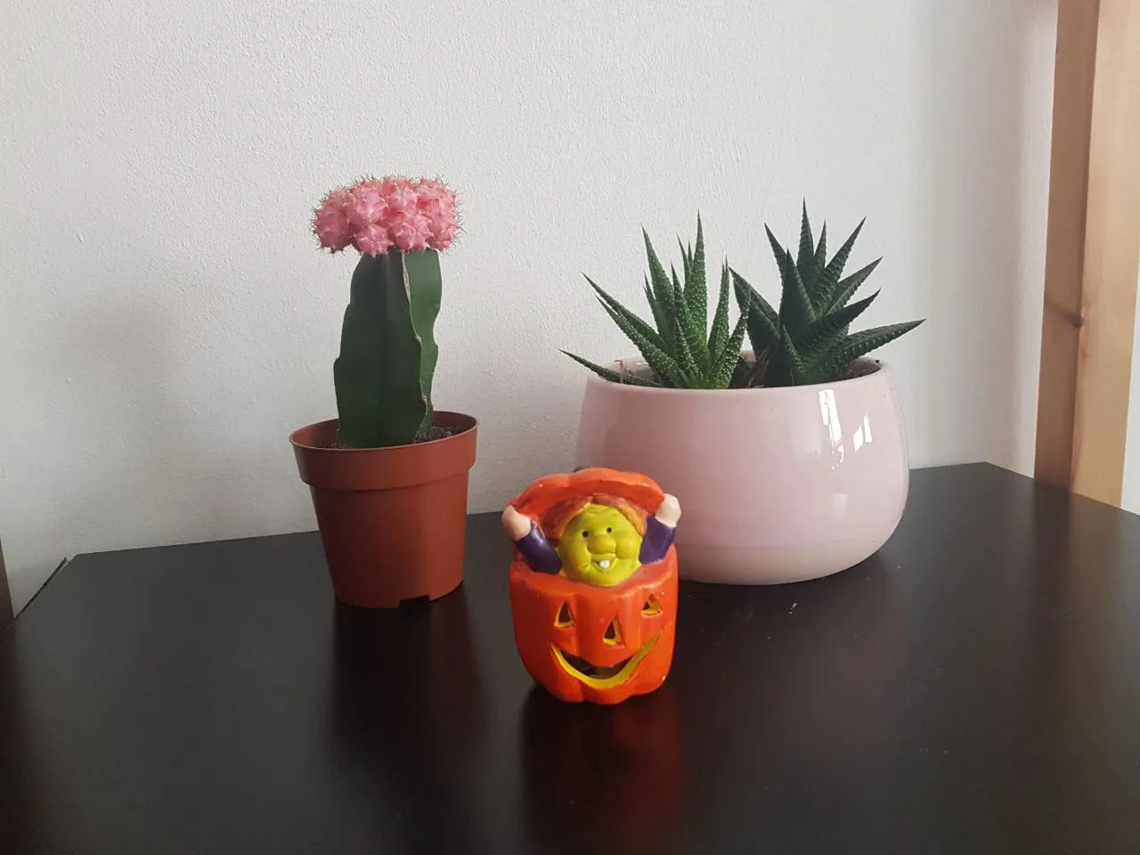 Decoding Pointnet A Practical Guide To 3d Segmentation With Python And Pytorch By Sepideh