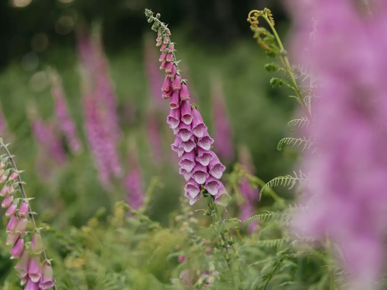 Using the Split Function in Snowflake | by Christianlauer | Medium