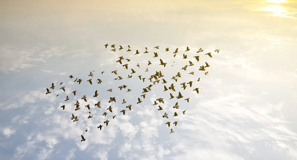 Unlocking the Power of OpenText Exstream: Elevating Your Customer ...