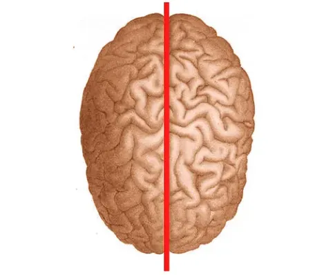 Optimizing SQL Server: Understanding Nested Loops, Hash Match, Merge ...