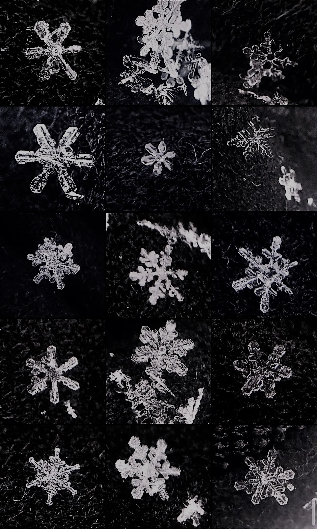 Let Your Vectors Breathe: Why BlobSketch Points the Way to Fluid Graphic Design | by Colin ...