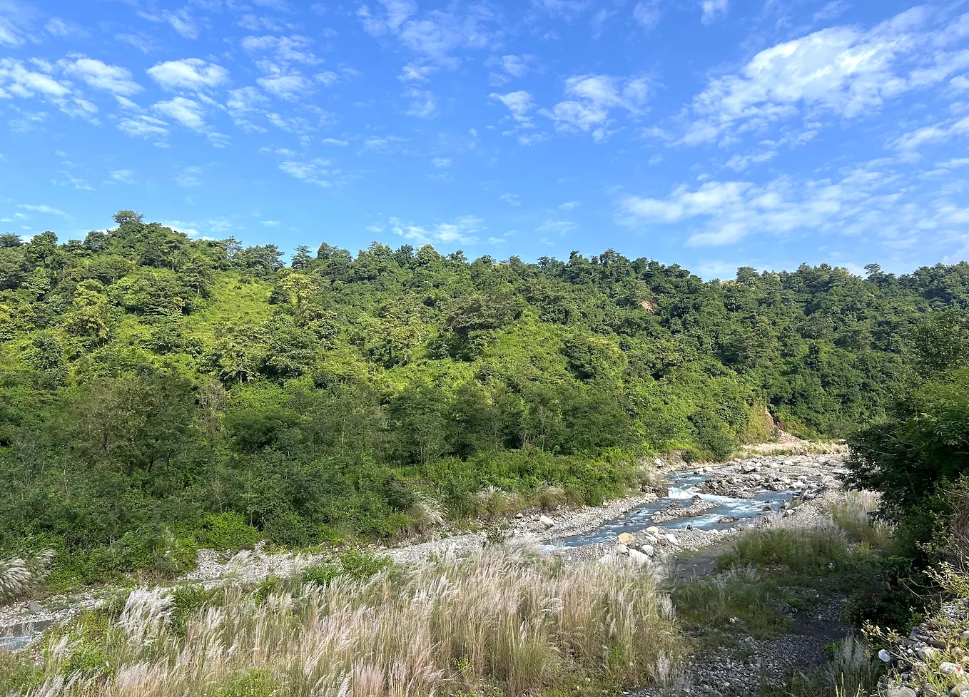 Building a Neural Network for Binary Classification from Scratch: Part 1 | by Abhiveer Singh ...