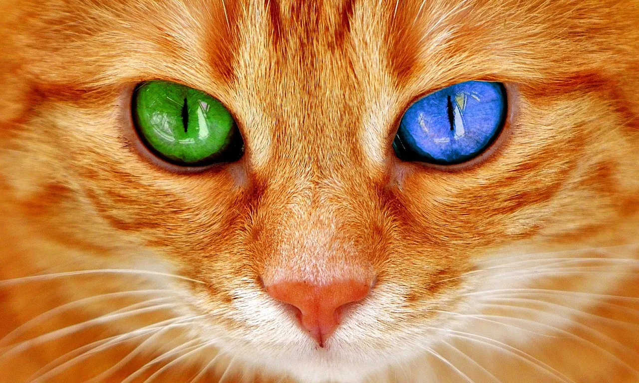 have you started using async/await? | by Aditya Agarwal | Medium