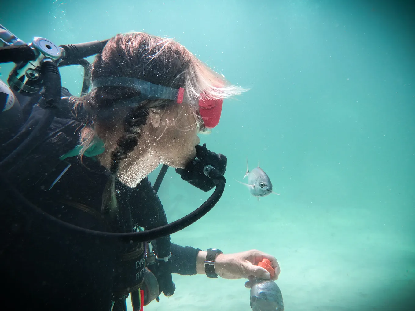 How to Get Your Open Water Scuba Diving Certification in a COVID-19 ...