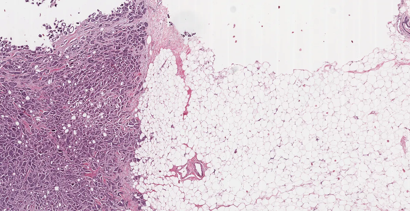An Introduction to Evolutionary Algorithms with Python | by Soroush ...
