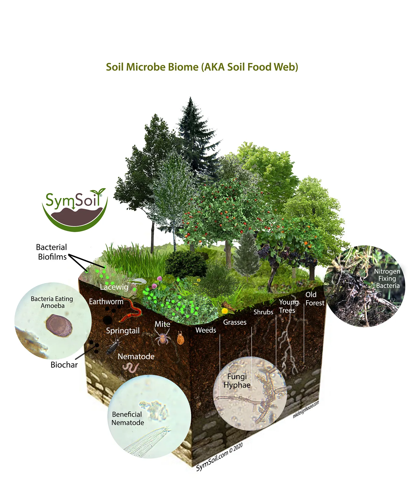 The Right Microbe Biome Balance for Your Crop | by Elizabeth Pearce ...