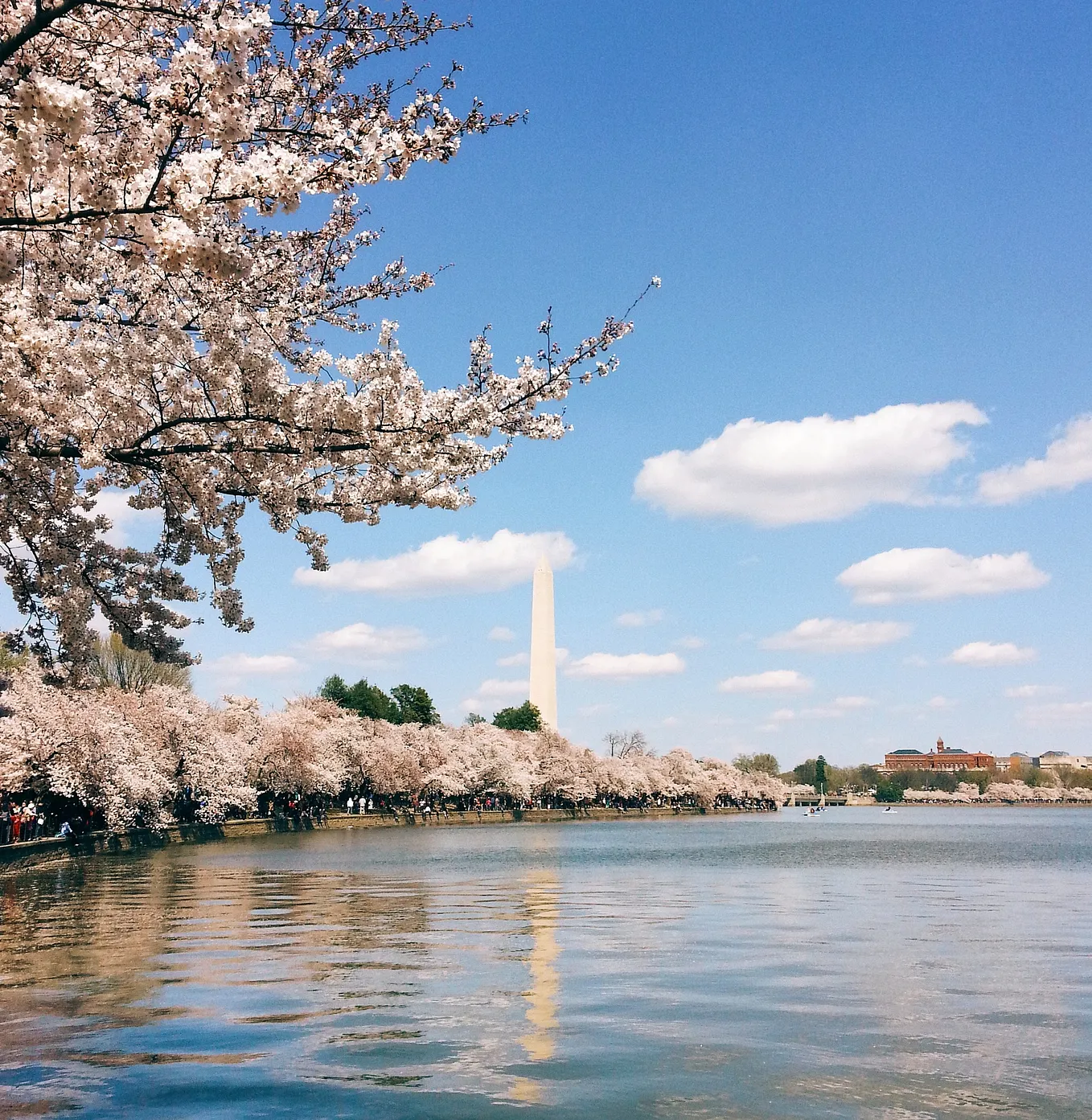 Human languages vs. Programming languages | by Ana | Medium