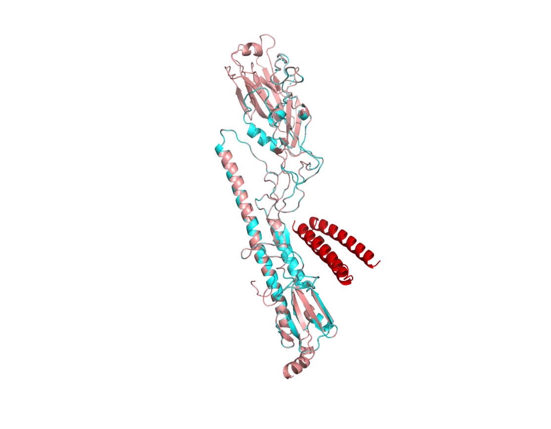 Smarter PyMOL #2: Automate Beautiful Molecular Illustrations in PyMOL with one Click Using .PML ...