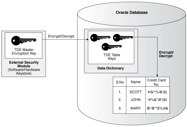 How To Connect To Tls Enabled Oracle Db Using Sql Developer By Harinderjit Singh Itnext