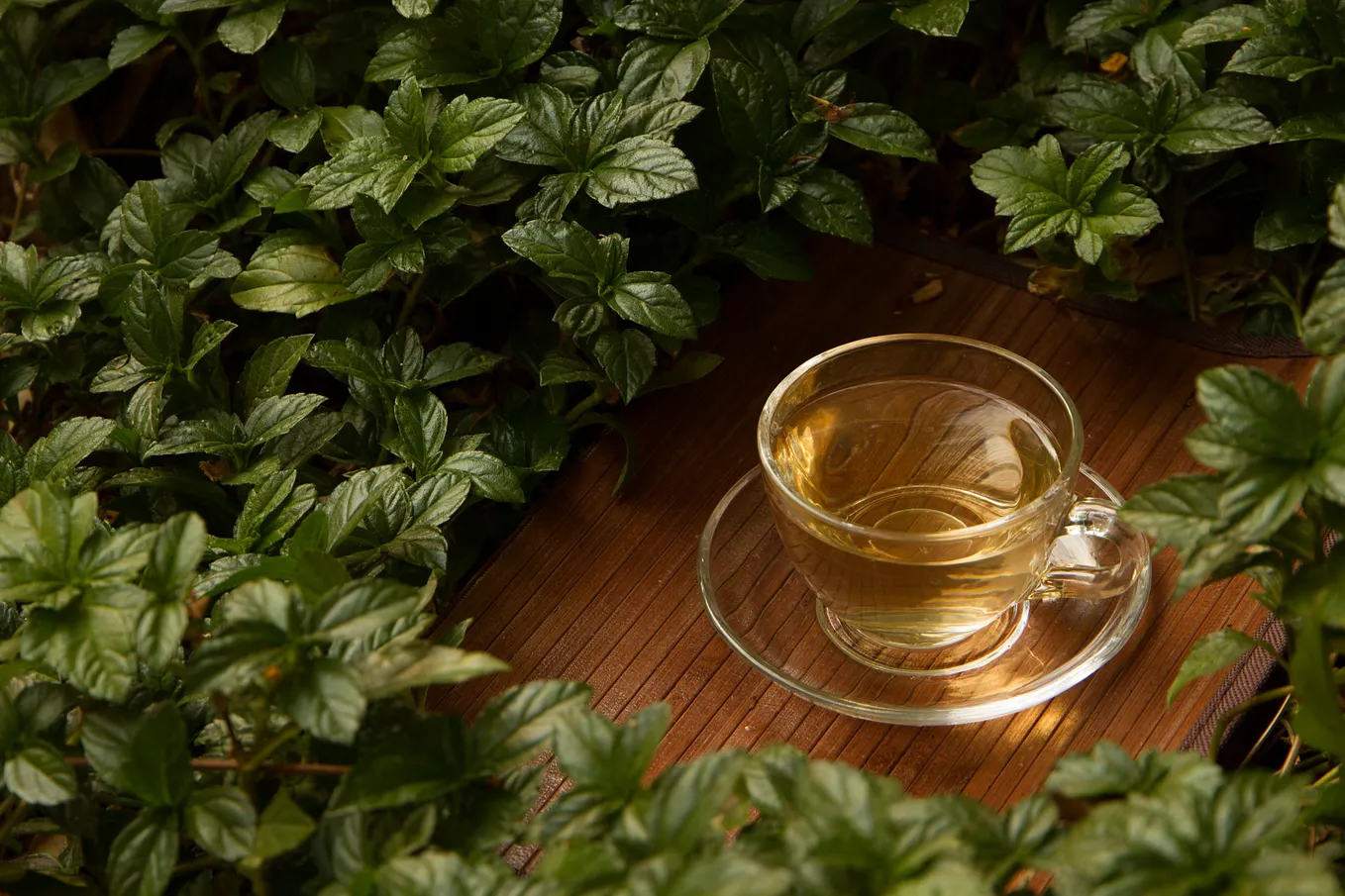 Assam, Oolong or Tisane? Types of Tea You Should Know | by The Hillcart ...