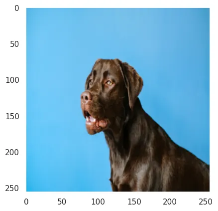 Feature Importance in Machine Learning | by hassane Skikri | Medium