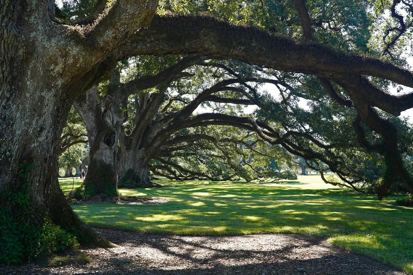 Have We Gone Crazy with Coddling? | by Erica Jalli | 2 Minute Mum | Nov ...