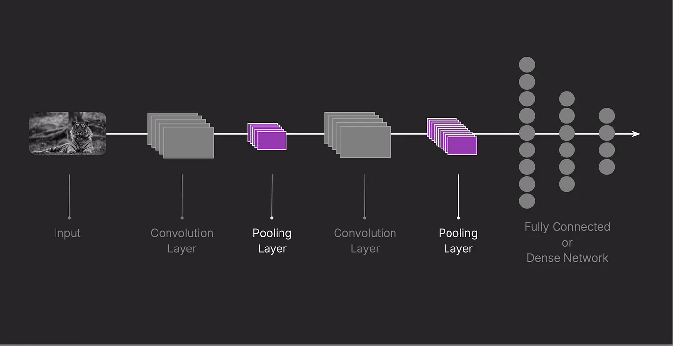 Convolutional Neural Networks (CNNs) in Deep Learning: A Comprehensive ...