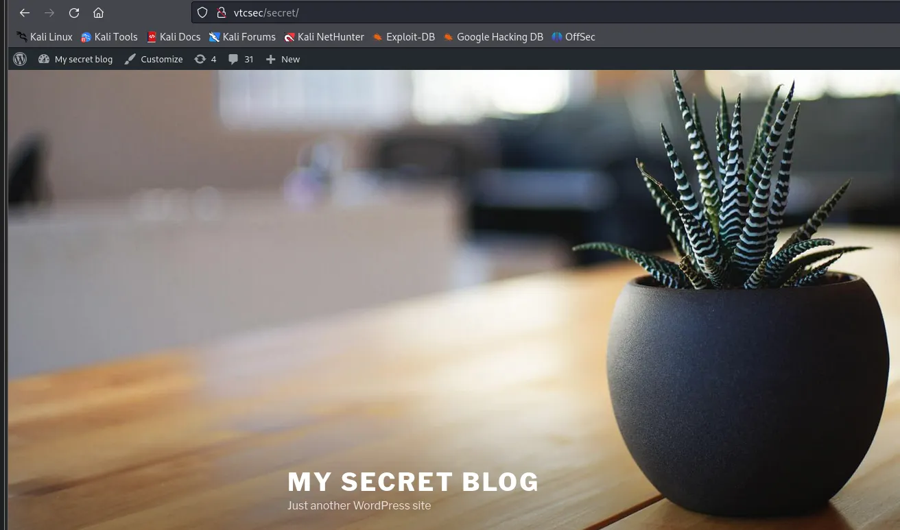Install Subfinder |Tool. The installation shown below is for… | by ...