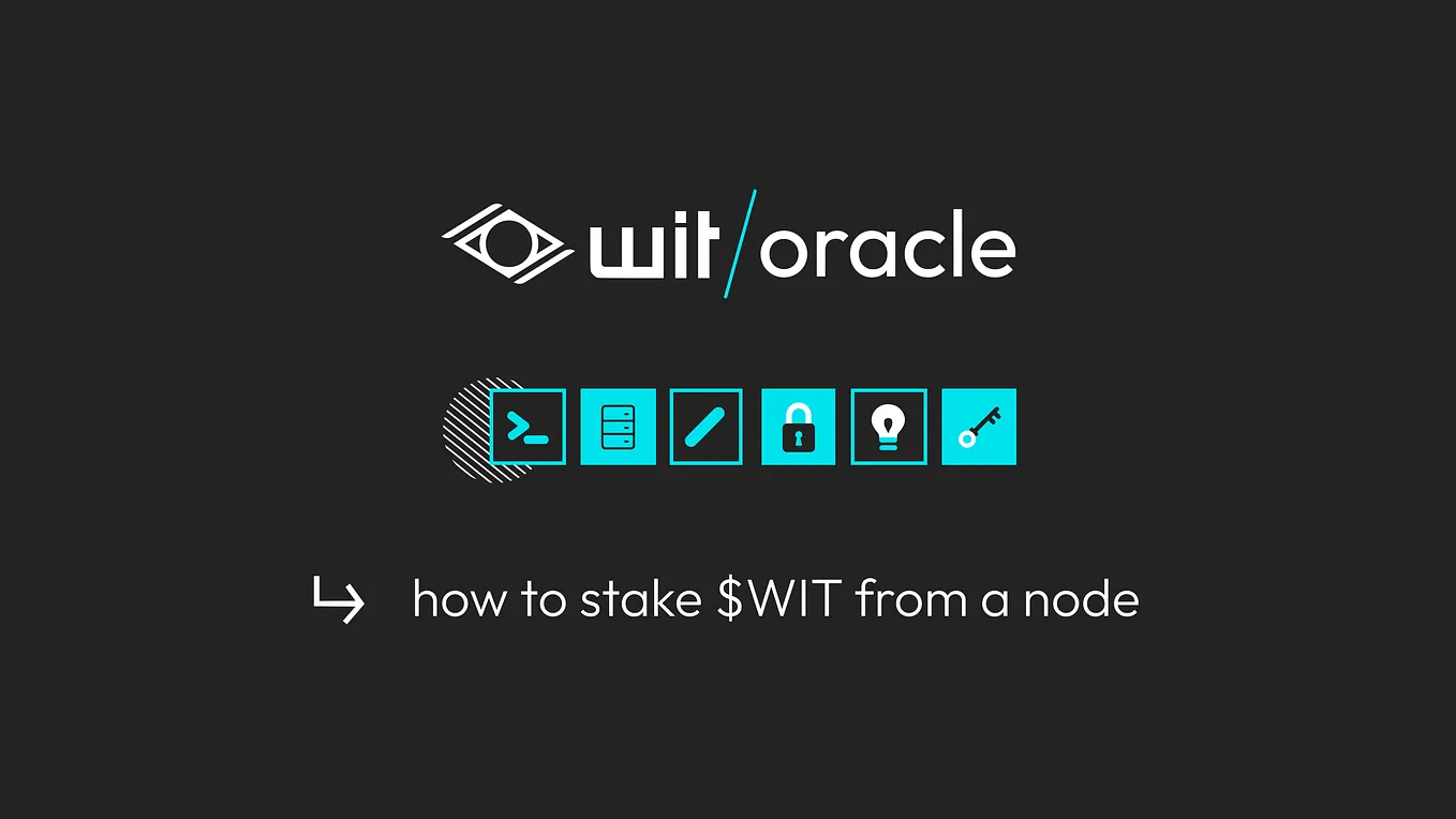 Blockchain Oracles: A Developer’s Perspective | by Guidiaz | The Witnet Oracle Blog | Medium