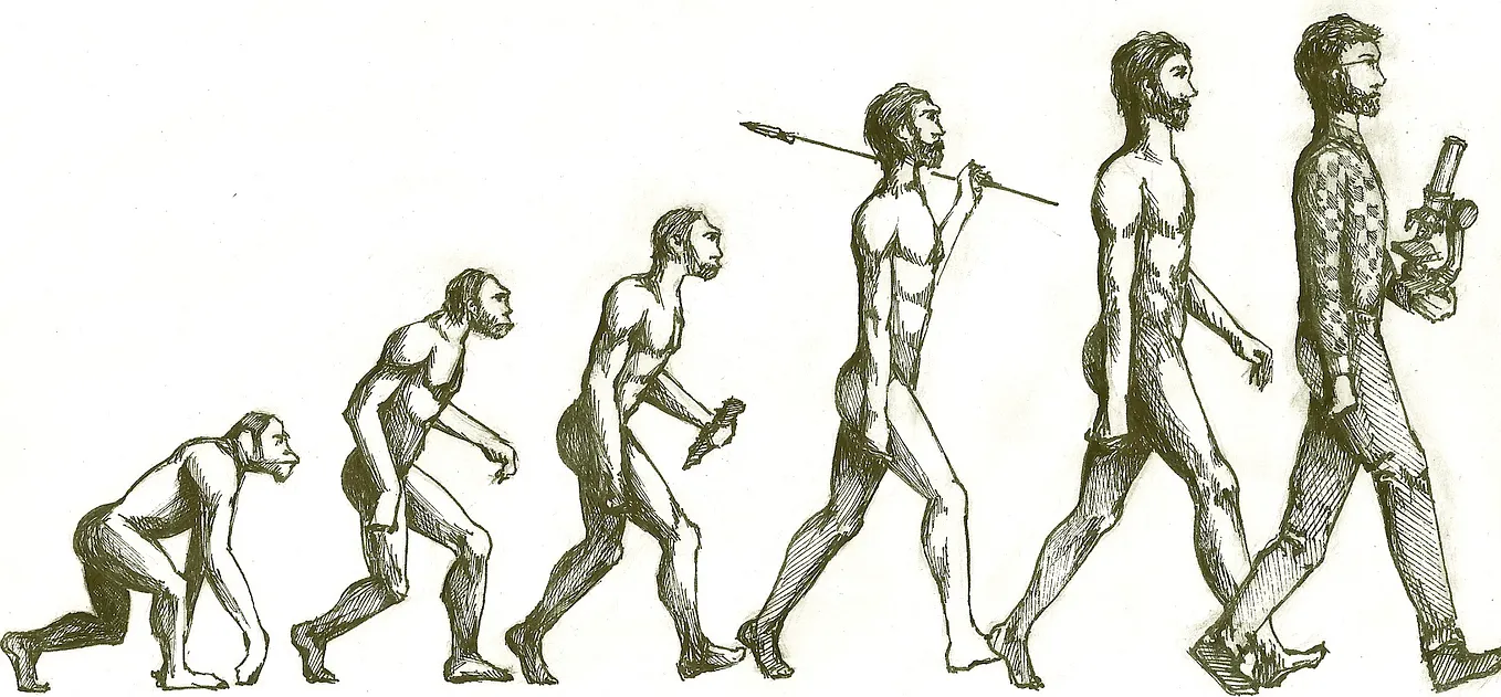 Most intelligent personality type to least intelligent personality type ...