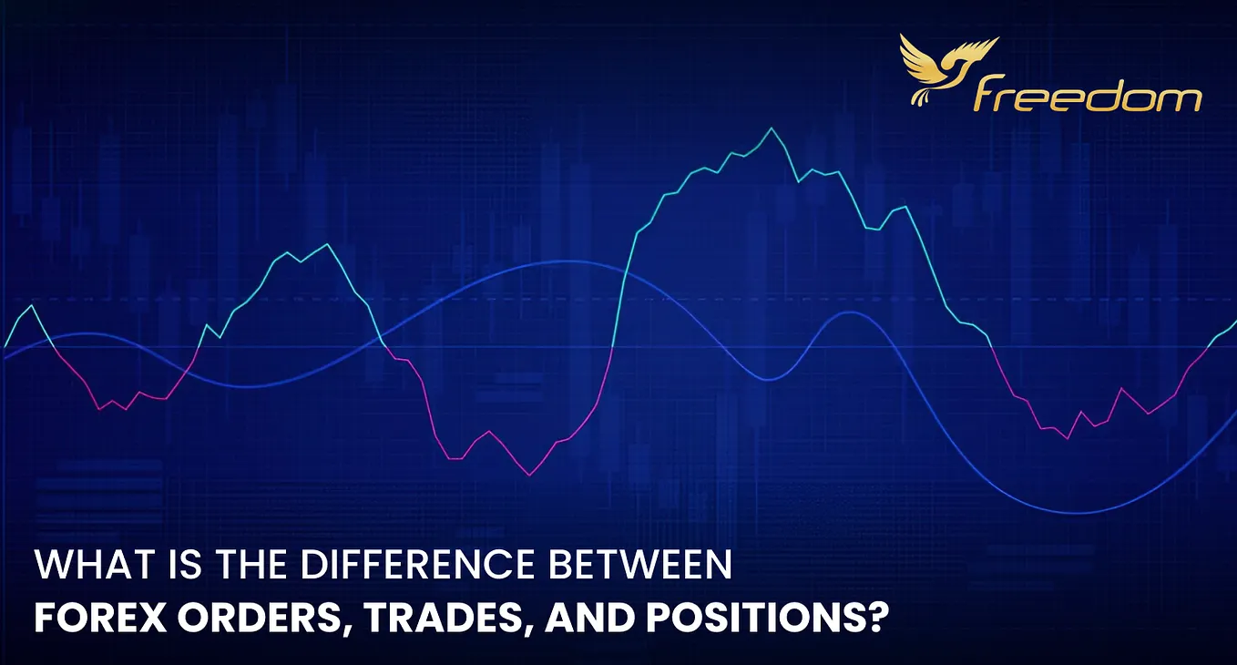 The Importance of Pips in Forex Trading: A Complete Guide | by Freedom ...