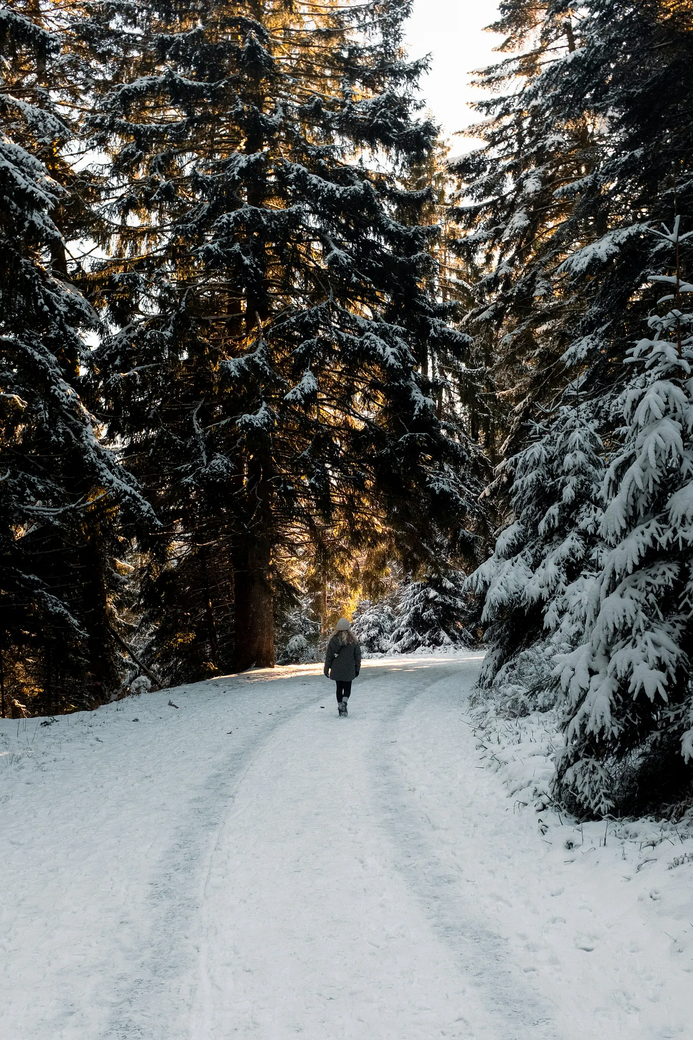 When Winter Gently Tells Us to Slow Down | by Almost Stable - by Alexia ...