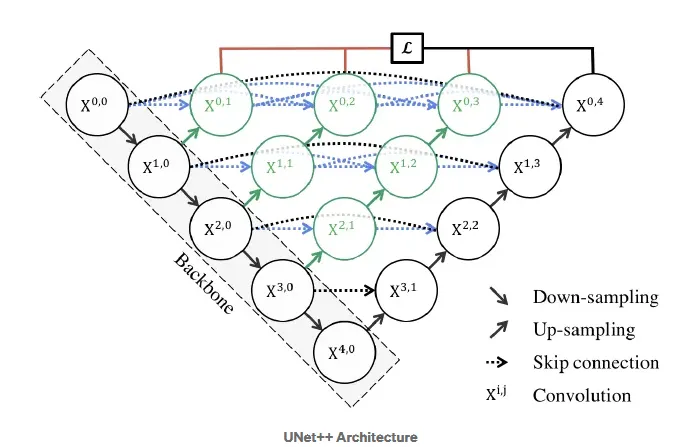 U-Net: A Versatile Deep Learning Architecture for Image Segmentation ...