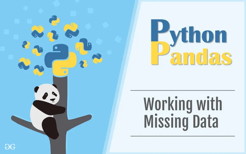 Convolution Neural Networks :Guide for your first CNN Project using ...