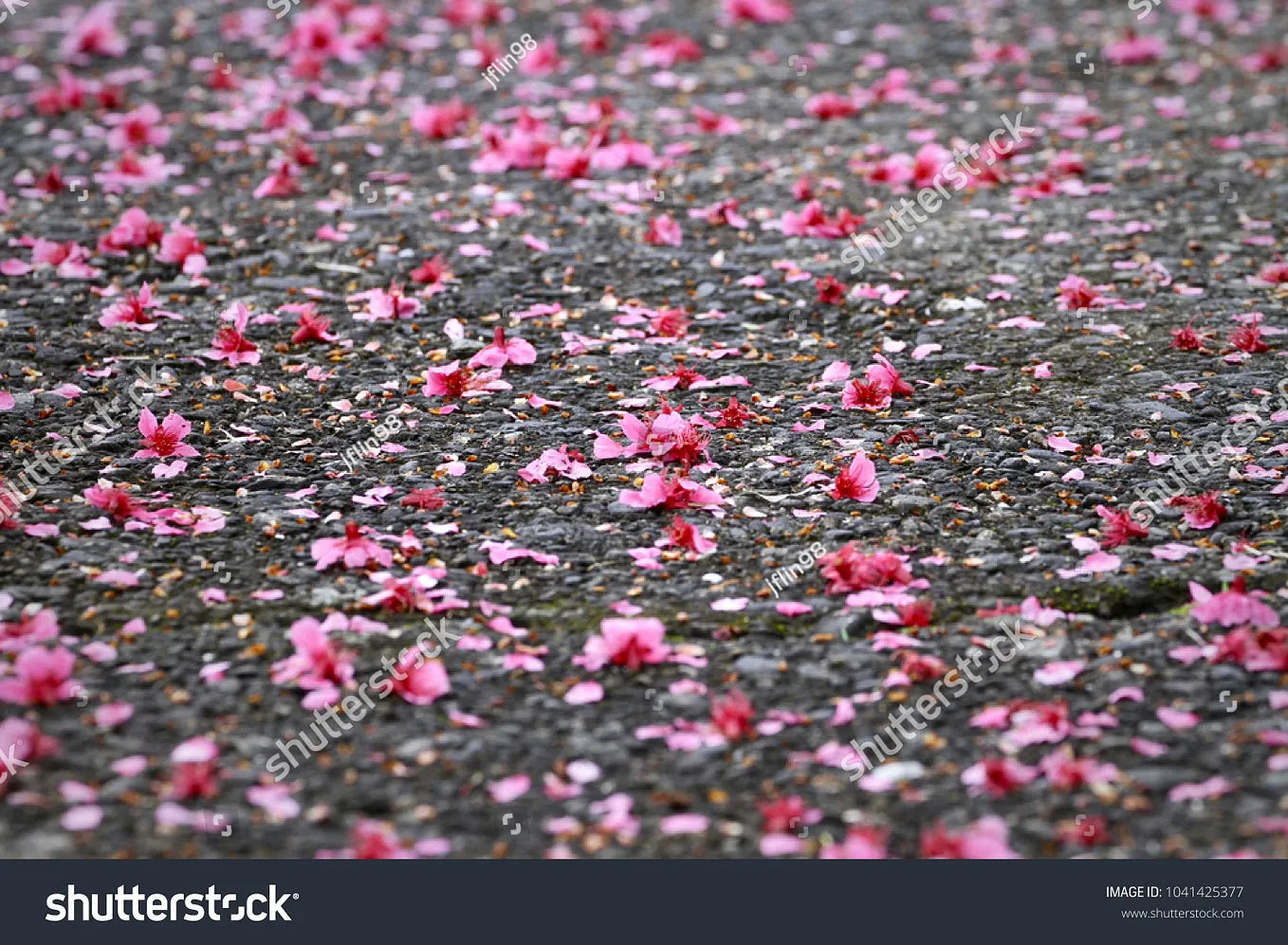 The Wonders of a Kind Person. November 16, 2025 | by Cherry | Medium