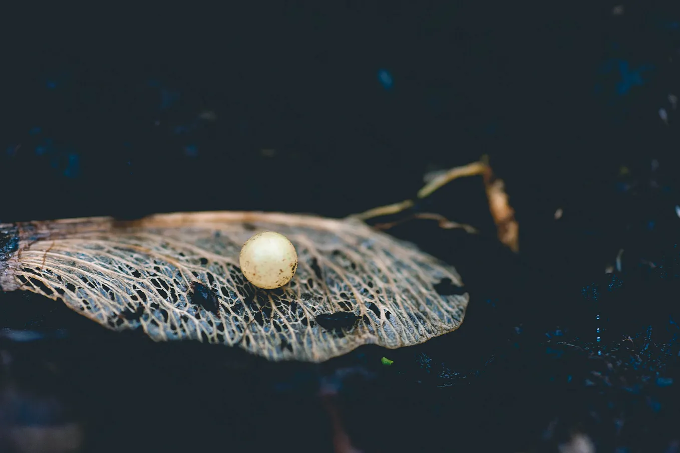 Webpack vs ESBuild: The Ultimate Showdown of Speed and Simplicity | by ...
