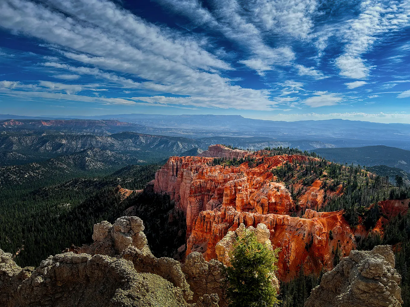 How to use JSON in BigQuery like a Data Engineering Professional | by ...