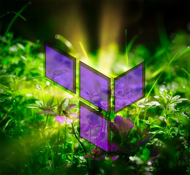 Deploying a Python Script Using Ansible | by Kayla Graves | Medium